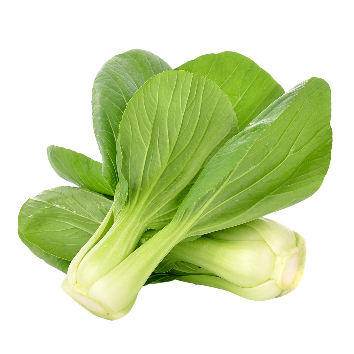 Fresh Chinese Pak Choi Bok Choy Vegetables (2 Bunches) – Thai Food ...